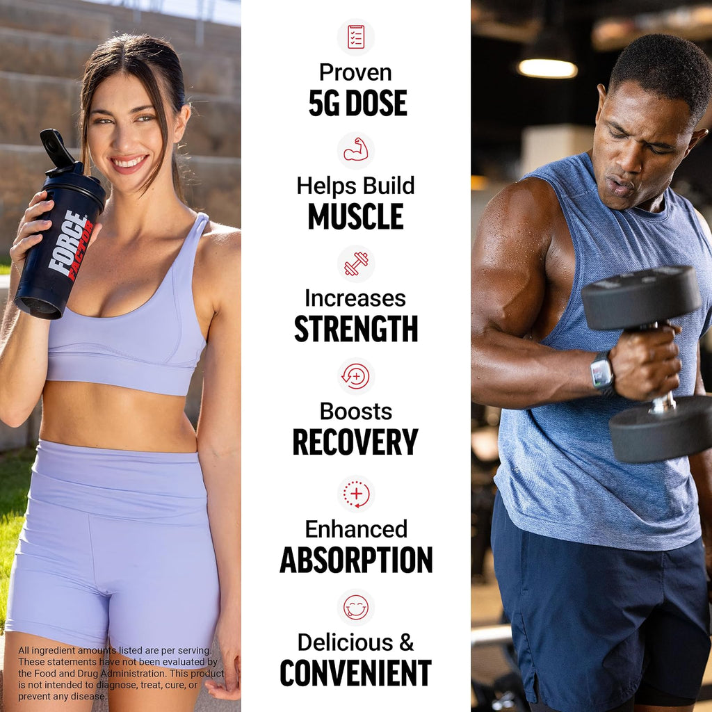 NSF certified creatine monohydrate supplement