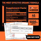 NSF certified creatine supplement