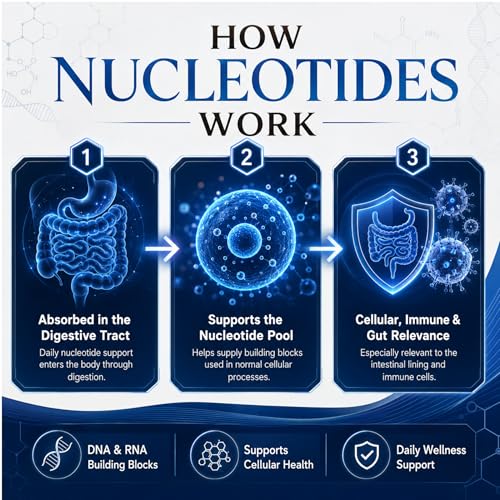 Nucleotide multivitamins for daily wellness