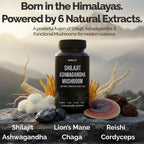 NuroJit herbal capsules for focus