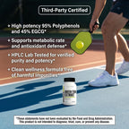 NutraBio antioxidant-rich green tea