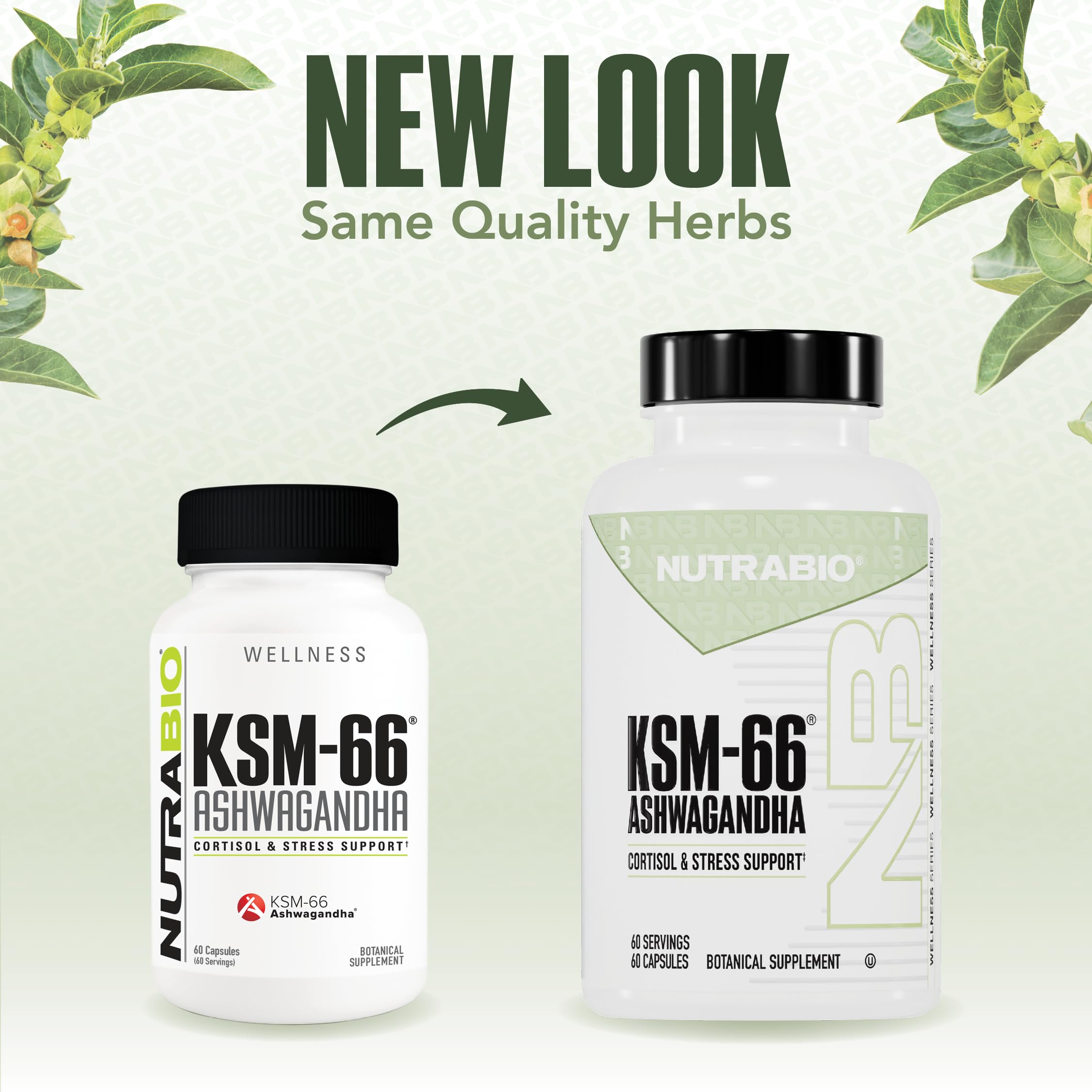 NutraBio Ashwagandha for physical performance
