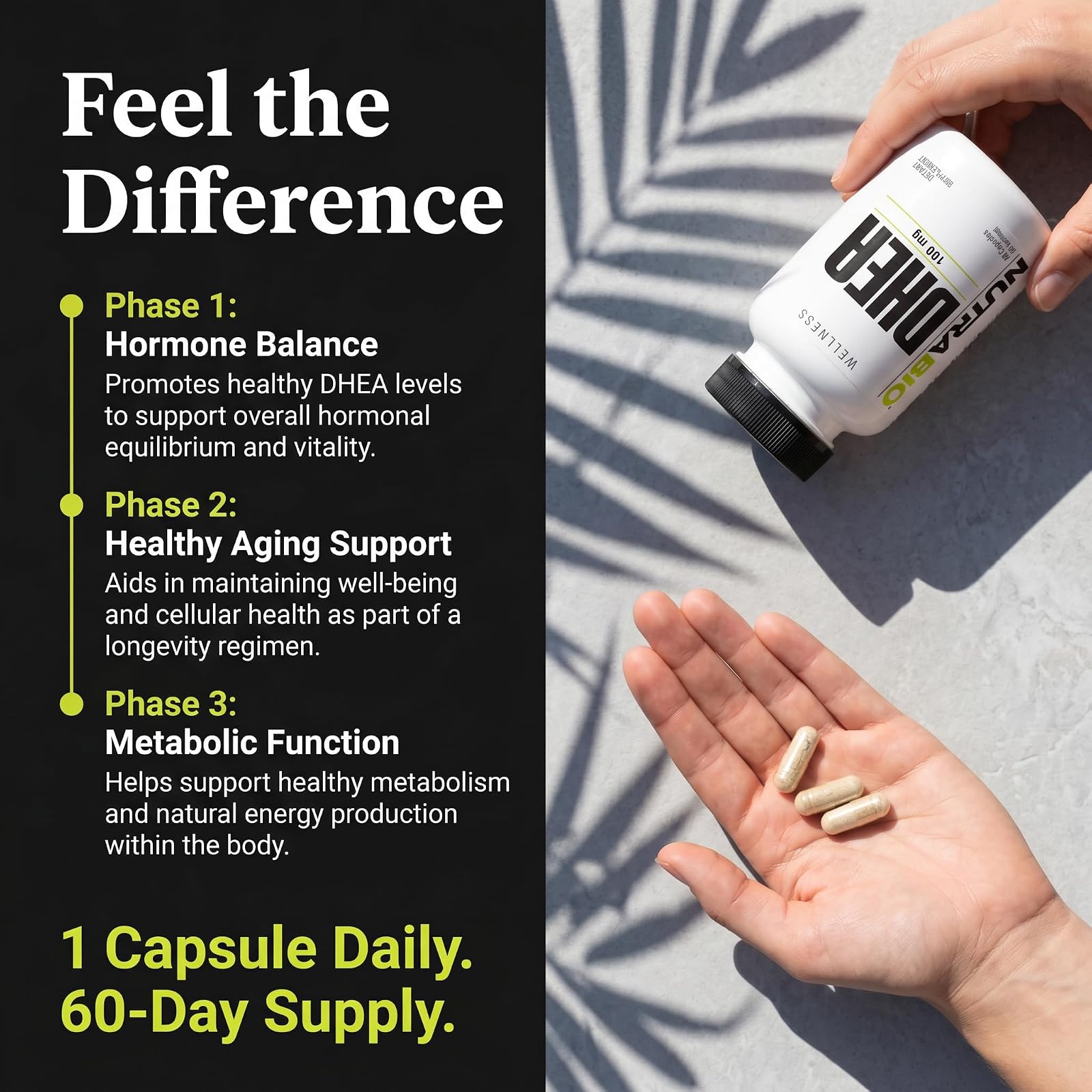 NutraBio DHEA kids multivitamin option