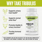 NutraBio herbal energy supplement