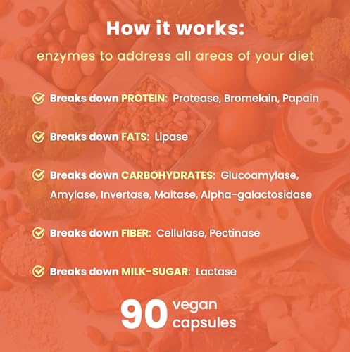 NutraChamps digestive enzymes support nutrient absorption