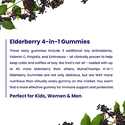 NutraChamps elderberry for seasonal wellness