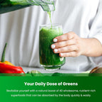 NutraChamps Super Greens Powder ingredients