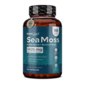 NutraCreek blended vitamin capsules