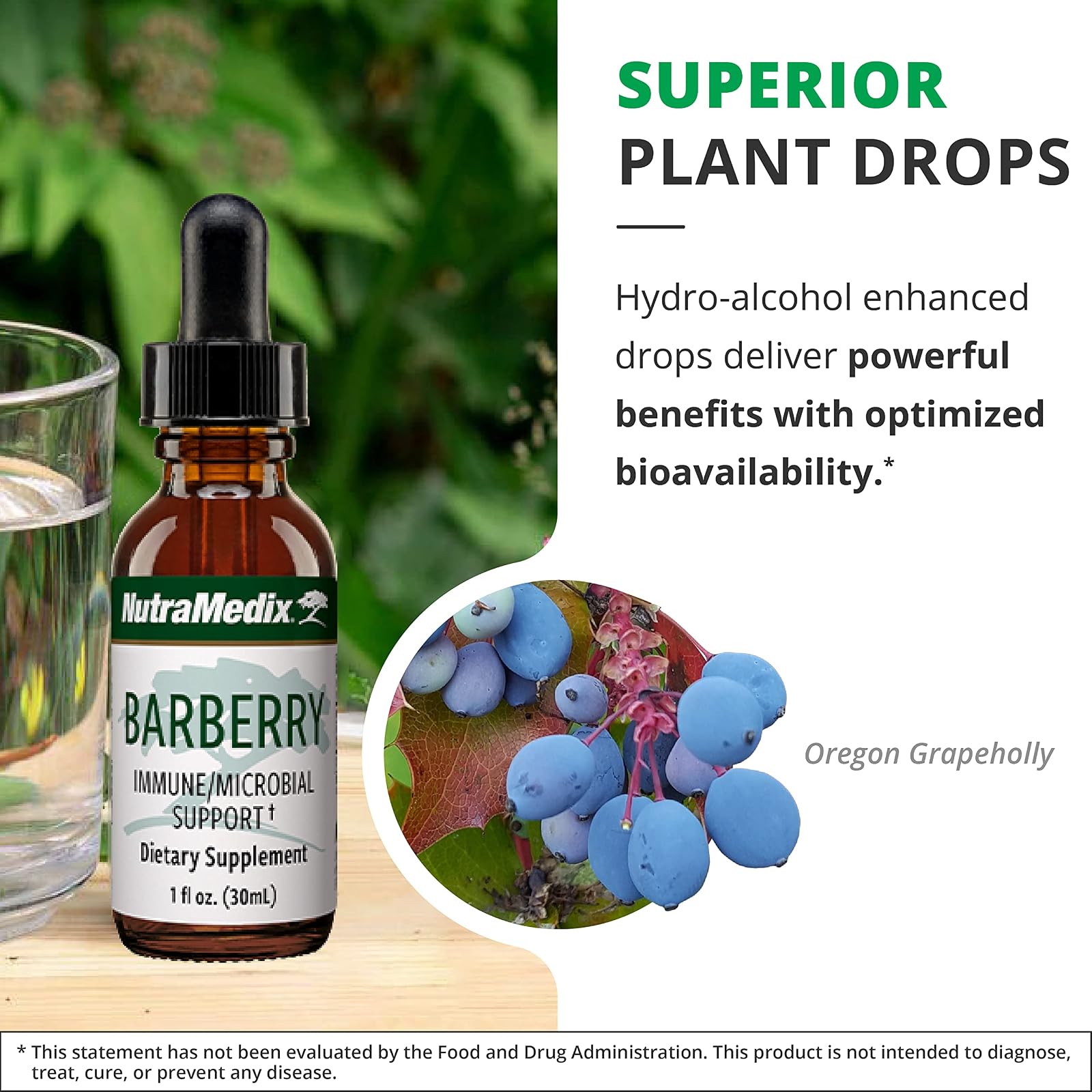 NutraMedix Barberry liquid for digestion