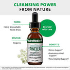 NutraMedix herbal extract for respiratory health