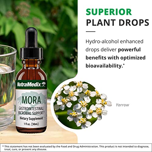 NutraMedix Mora Yarrow immune boost