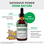 NutraMedix vitamin A drops benefits