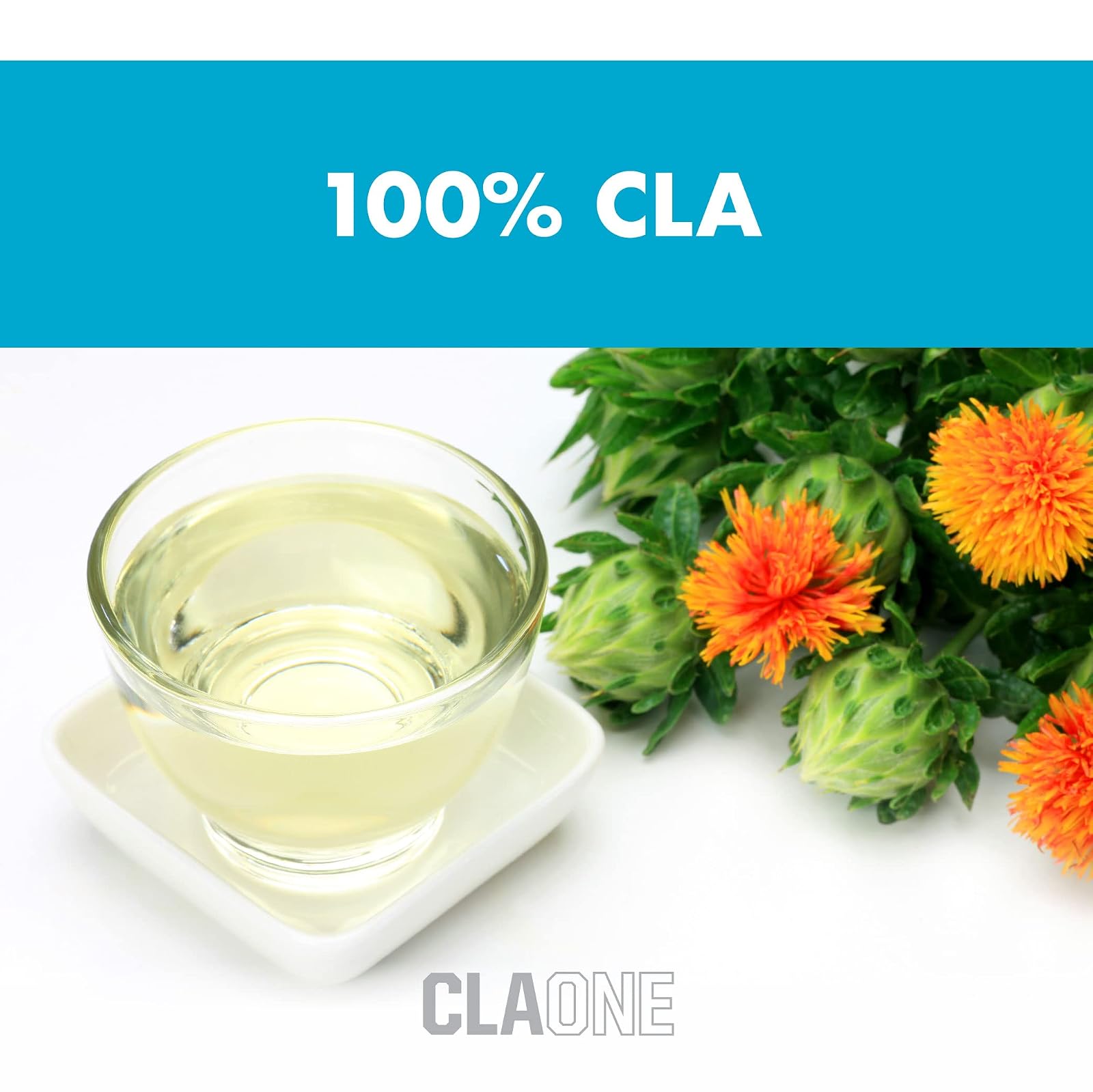 NutraOne CLAOne for healthy metabolism