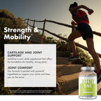 NutraOne JointOne for pain relief