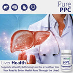 Nutrasal PhosChol energy support