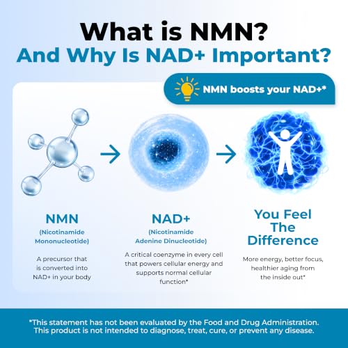 Nutratology NMN boost cognitive function