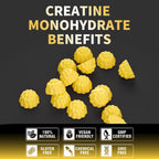 Nutravita creatine for improved performance
