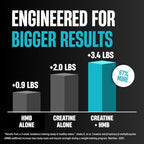Nutrex Research creatine for faster recovery