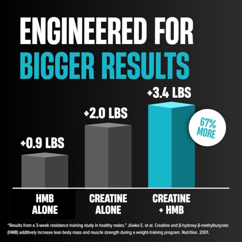 Nutrex Research creatine for faster recovery