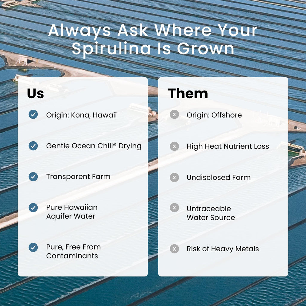 Nutrex spirulina for natural energy boost
