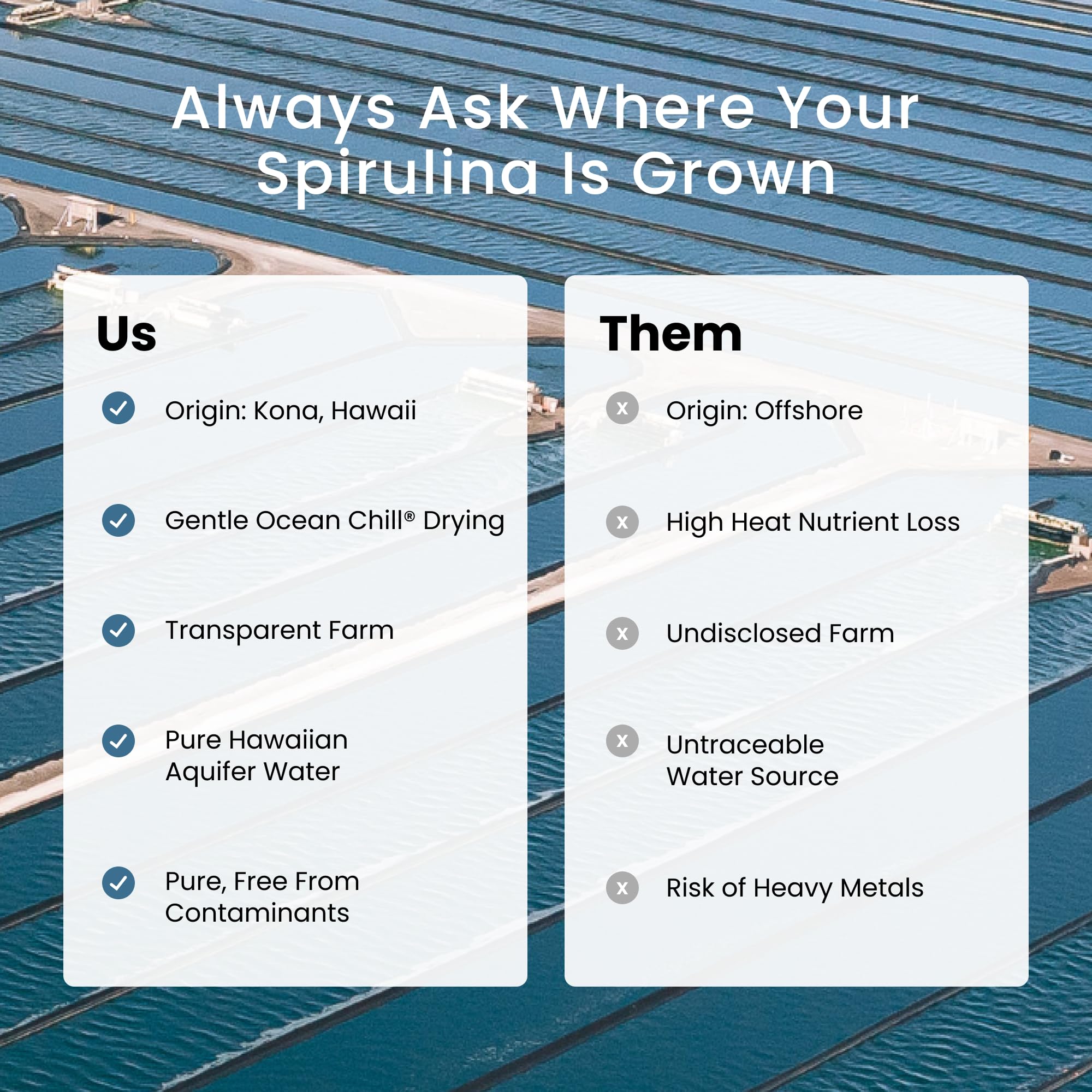 Nutrex spirulina for natural energy boost