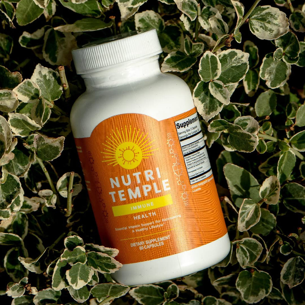 Nutri Temple elderberry for overall health