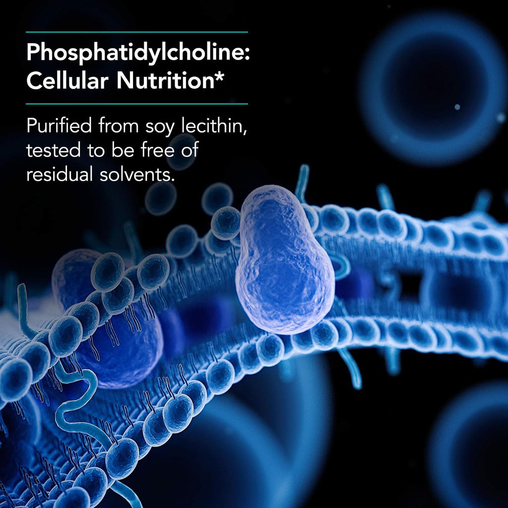 NutriCology softgels for cognitive function