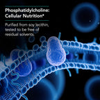 NutriCology softgels for cognitive function