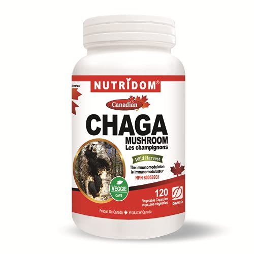 Nutridom Chaga mushroom capsules