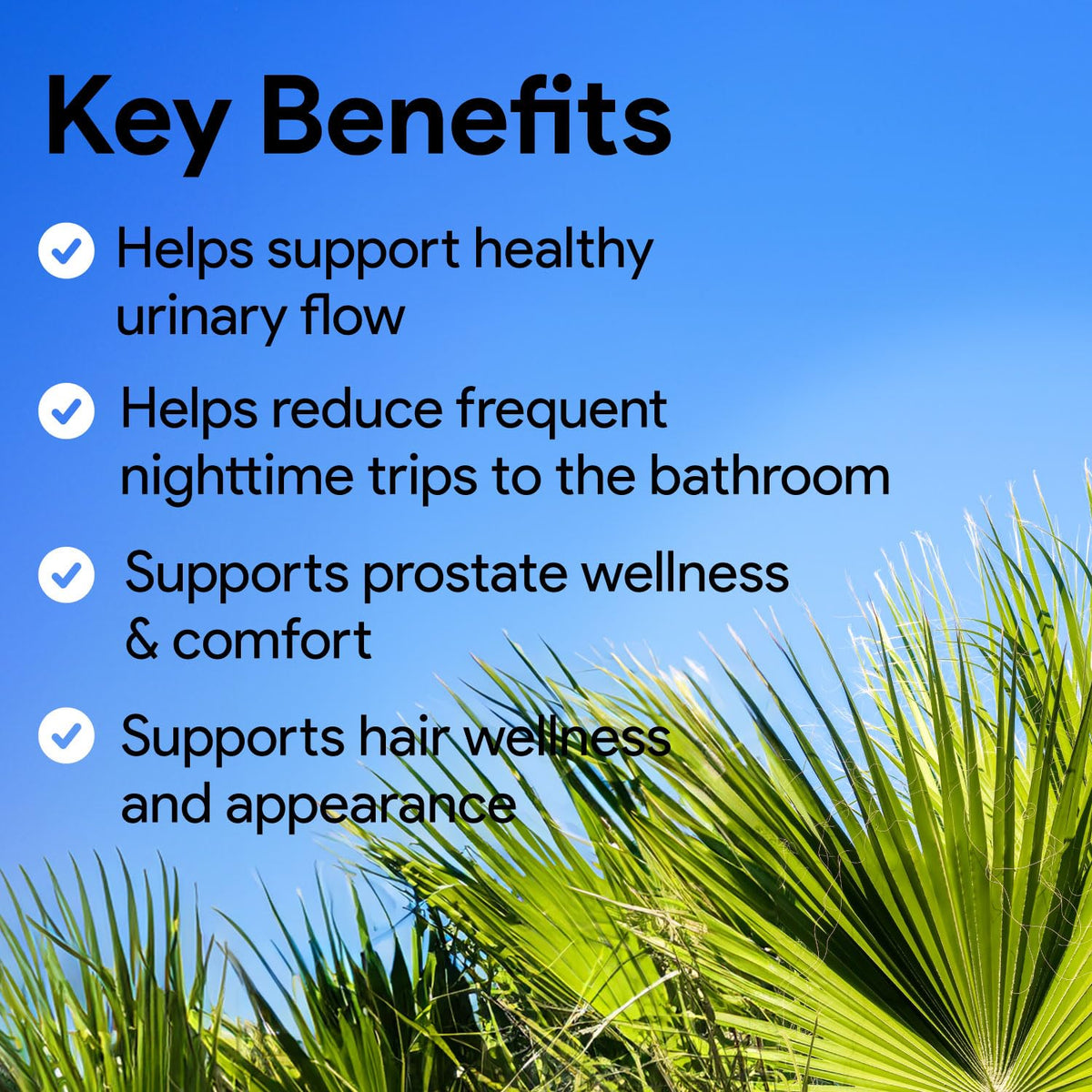 Nutridom Saw Palmetto for prostate health