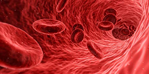 nutrient delivery support with blended vitamins