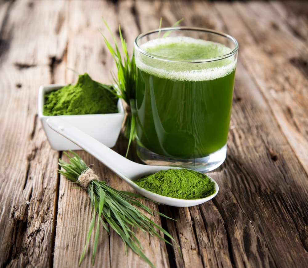 nutrient-dense barley grass nutrition