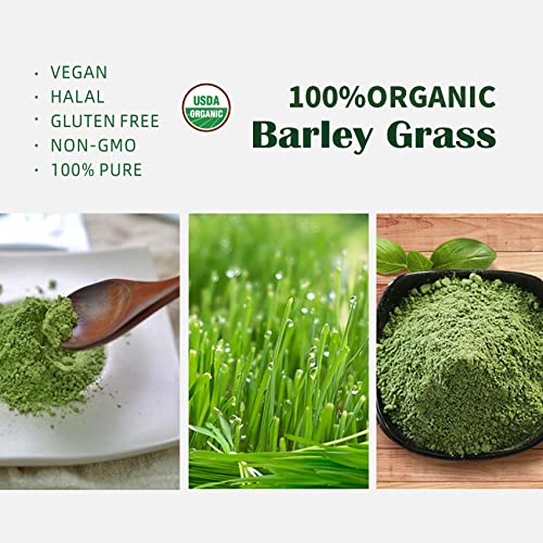 nutrient-dense barley grass powder