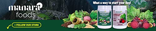 nutrient-dense blended health powder