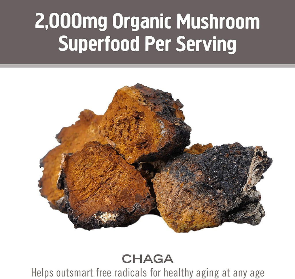 Nutrient-dense chaga mushroom benefits