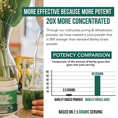 nutrient-dense health supplement
