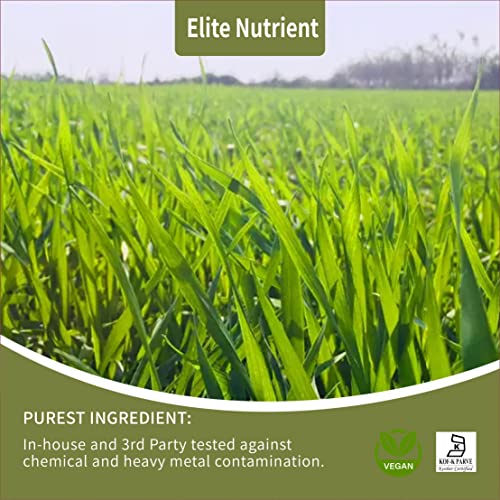 nutrient-dense herbal supplement