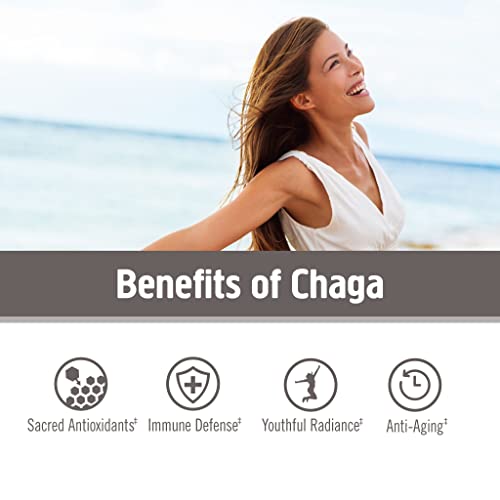 nutrient-dense mushroom powder for vitality