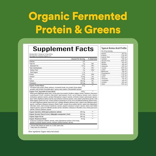 nutrient-dense protein drinks for recovery