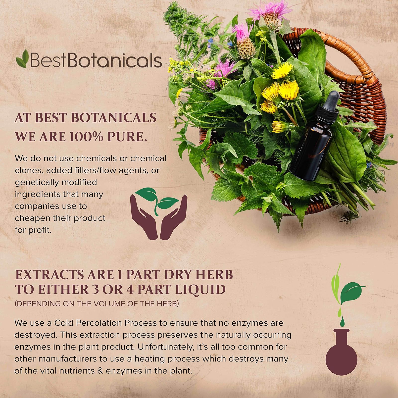 Nutrient-dense raspberry leaf supplement