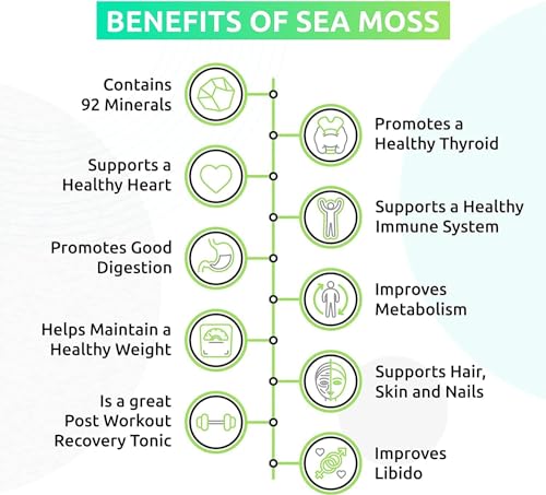 Nutrient-dense sea moss for wellness