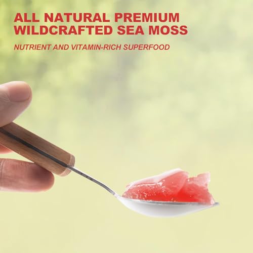 Nutrient-dense sea moss gel