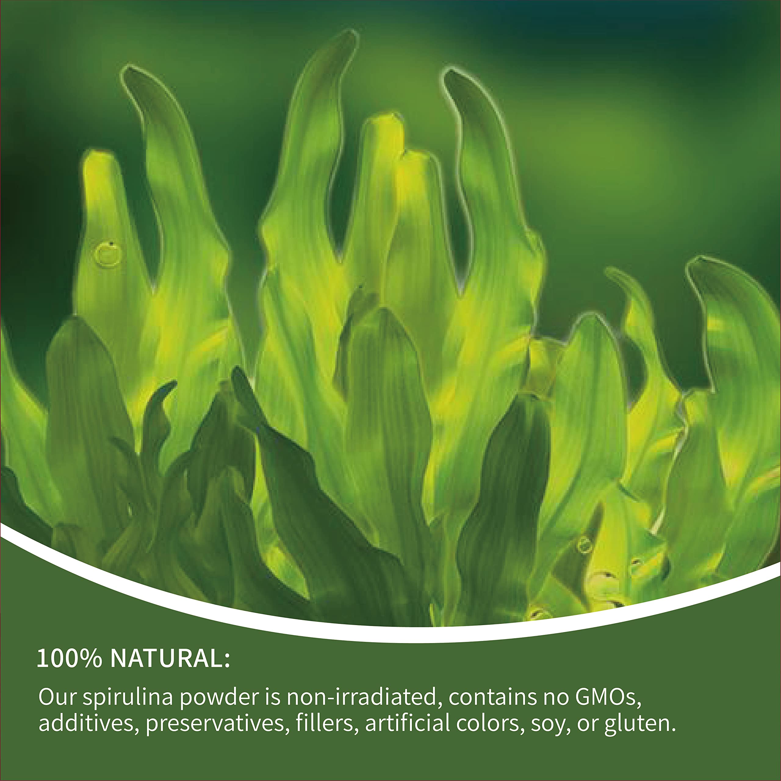 nutrient-dense spirulina for vitality