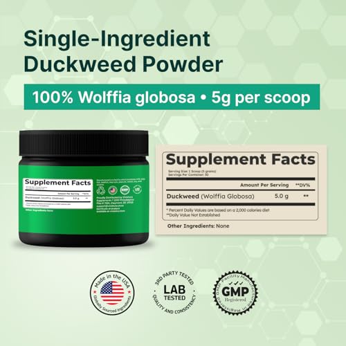 nutrient-dense superfood powder