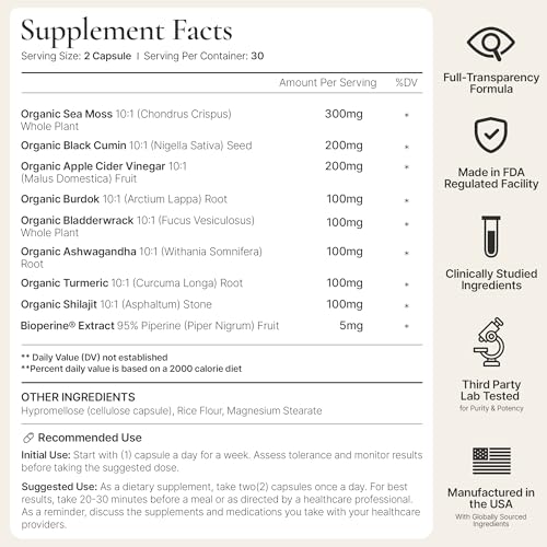 Nutrient-dense supplements for overall wellness