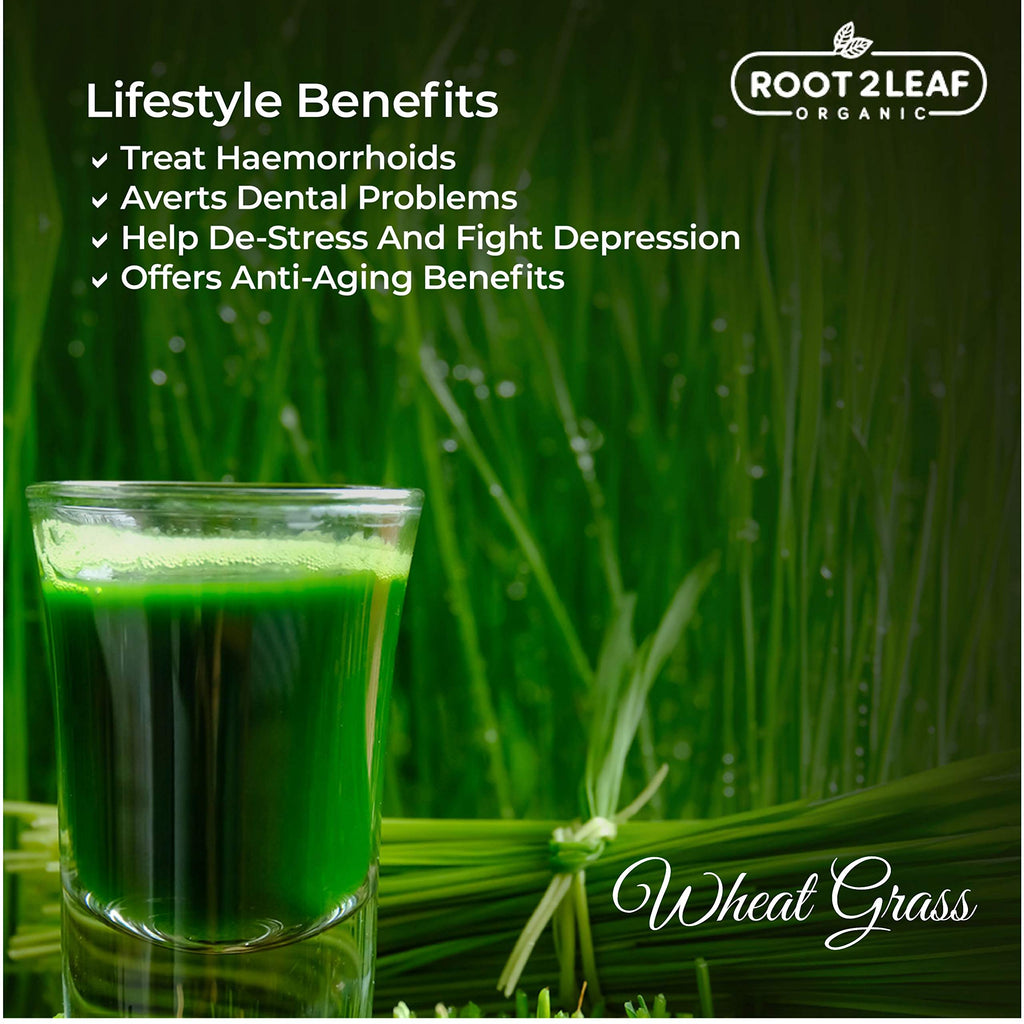 nutrient-dense wheat grass for vitality
