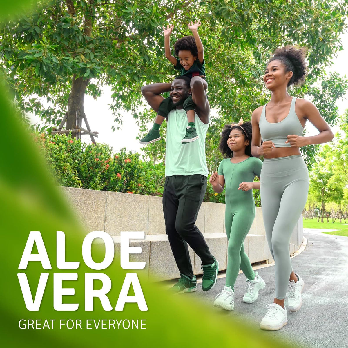 Nutrient-rich aloe powder supplement