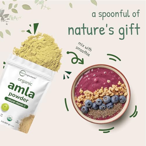 nutrient-rich amla for daily health