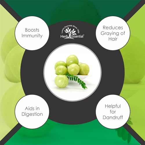 nutrient-rich amla powder benefits