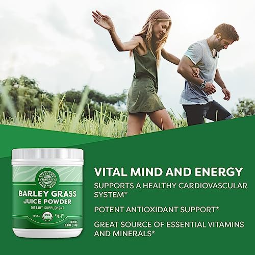 nutrient-rich barley grass juice